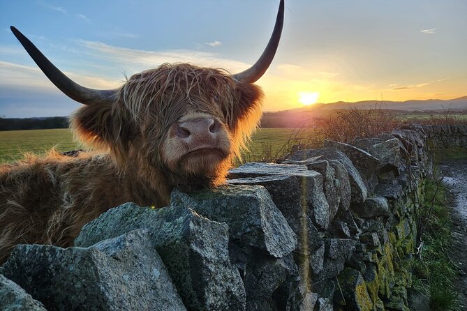 Private Tour of the Scottish Highlands from Edinburgh - An In-Depth Look at the Itinerary
