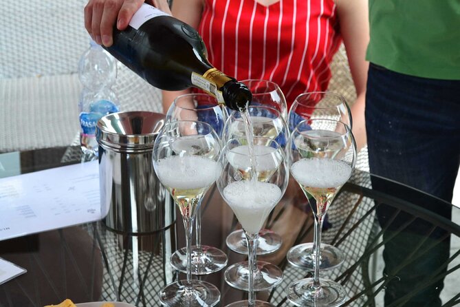 Private Tour: Prosecco Wine Tasting Day Trip with Lunch from Venice - Key Points