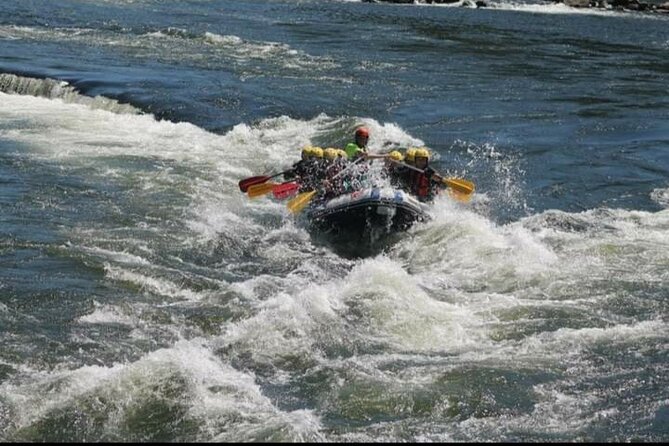 Rafting Experience on the Minho River with Coraltours Minho - Key Points
