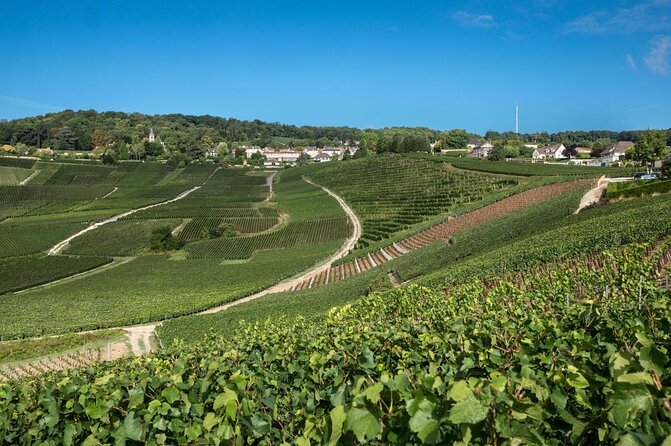 Reims: Small-Group Champagne Tour with Champagne Tastings and Lunch - Introduction