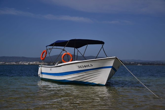 Ria Formosa - Boat trip to the 3 Islands: Armona | Culatra Island | Lighthouse - Exploring the Ria Formosa Small-Group Boat Tour
