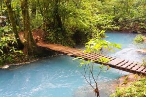 Rio celeste hiking, sloth sanctuary & llanos de cortes waterfall tour what past travelers say