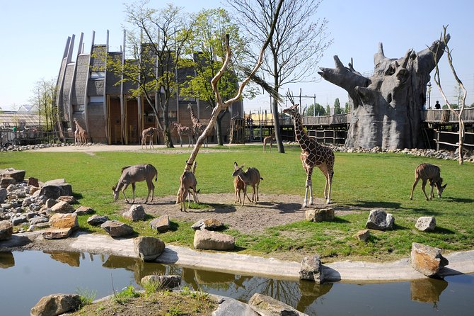Rotterdam Zoo Diergaarde Blijdorp Direct Entrance Ticket - Rotterdam Zoo Diergaarde Blijdorp: A Detailed Review for Animal Enthusiasts and Families