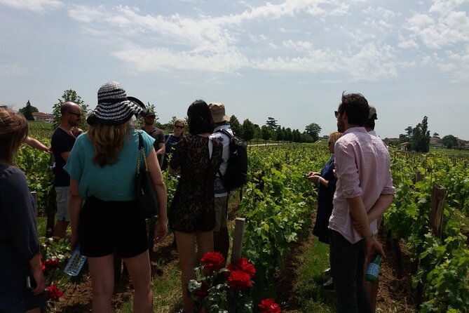 Saint Emilion Wine Tour Tasting Half Day from Bordeaux - An Engaging Introduction to Bordeauxs Wine Country