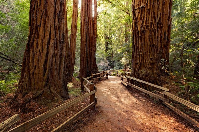 San Francisco Super Saver: Muir Woods & Wine Country w/ optional Gourmet Lunch - Key Points