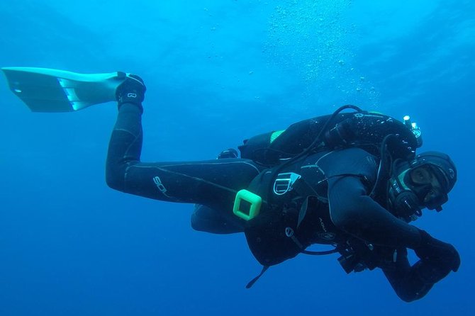 Scuba Diving Albufeira-Double Dive Trip - Key Points