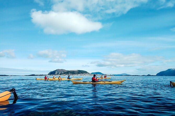 Sea Kayaking In Ålesund - Exploring Ålesund from the Water: An Honest Look at the Sea Kayaking Tour