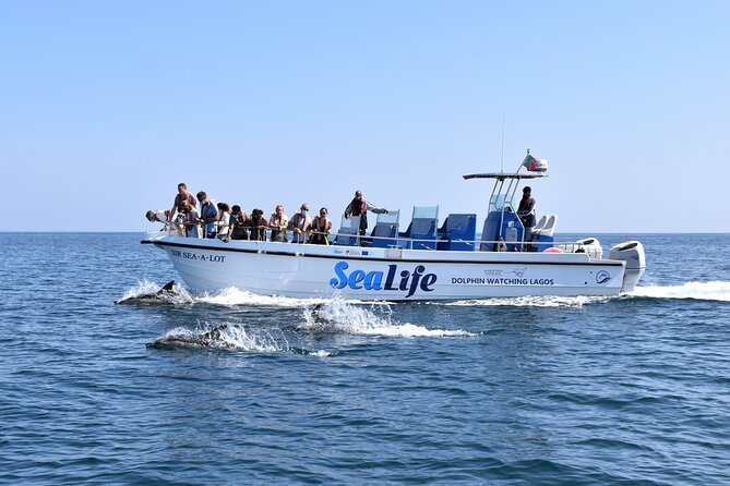Sealife Sea Safari, Dolphin Watching with Marine Biologist's Lagos - A Genuine Look at Sealife Sea Safari, Dolphin Watching with Marine Biologist in Lagos
