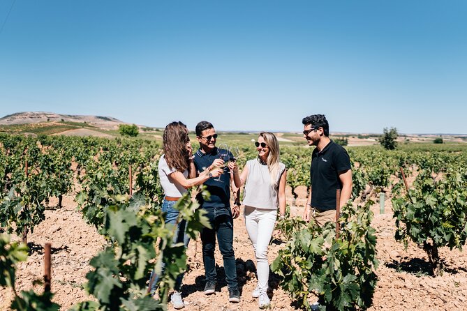 Segovia & Ribera del Duero Winery with Wine Tasting from Madrid - Key Points