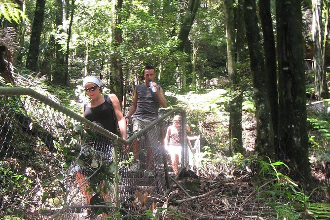Small-Group Blue Mountains Day Tour with Wildlife Park & Bushwalk - Key Points