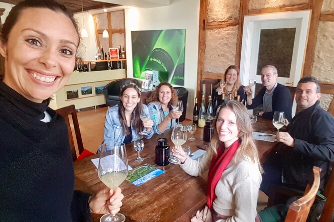 Small Group Rheingau Vineyards Tour with Castles and Abbeys - Introduction