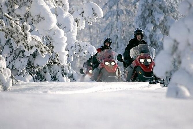 Snowmobile Safari through Lappish Forest from Rovaniemi - Key Points