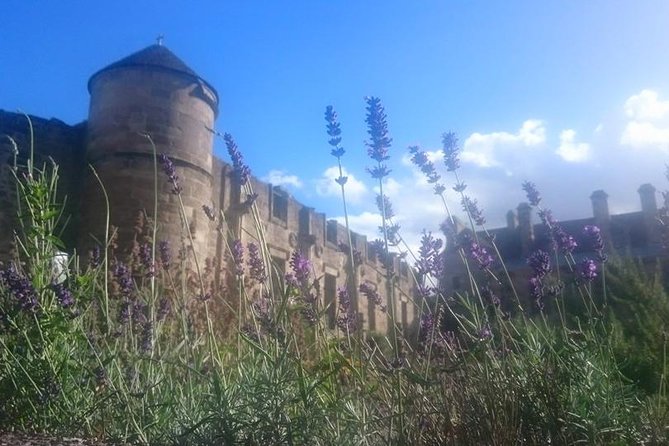 St Andrews, Falkland and Fife Villages Tour from Edinburgh - A Closer Look at the Itinerary