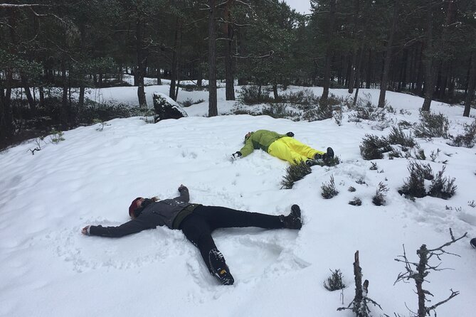 Stockholm: Nature Reserve Hiking Tour with Campfire Lunch - Key Points