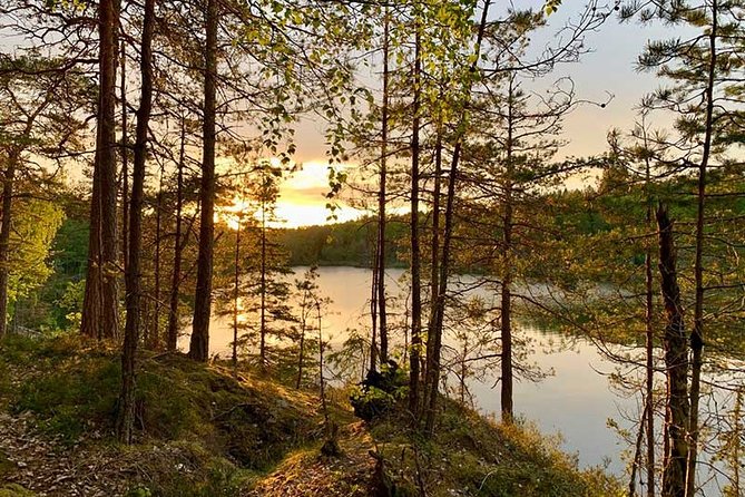 Stockholm: Sunset Hike in Tyresta National Park with Meal - An In-Depth Look at the Sunset Hike Experience