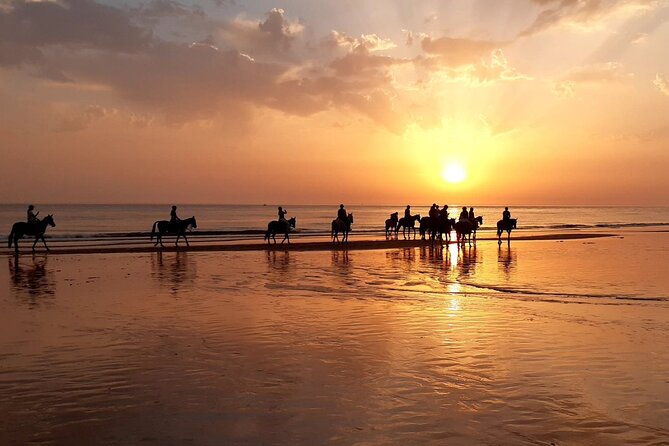 Stunning Sundown Beach Ride ... on horseback! - Discovering the Magic of a Sunset Horseback Ride on Cádiz’s Beaches