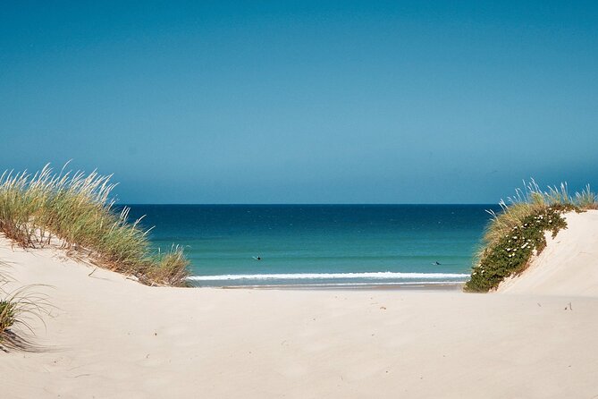 Surf Courses In Peniche and Baleal Portugal - Why You Should Consider Surf Lessons in Peniche and Baleal