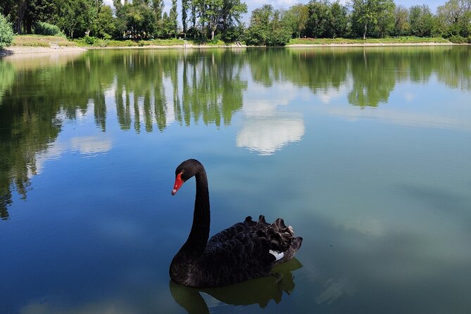 The Milan you don't expect, bike tour with picnic on the lake - Key Points