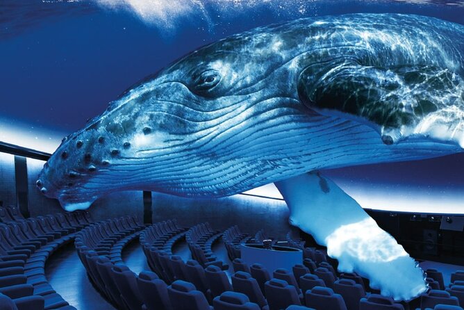 Ticket Palma Aquarium - Key Points