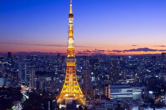 Tokyo 6hr Private Tour with Government-Licensed Guide - An In-Depth Look at the Tokyo 6hr Private Tour