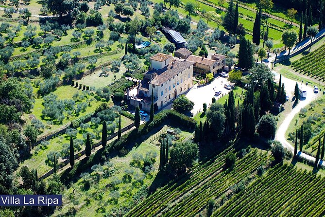 Tour through the vineyards and wine and olive oil tasting in Tuscany - Key Points