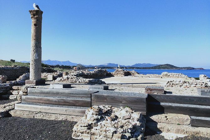 Tour to the archaeological site of Nora - from Cagliari - Exploring the Nora Archaeological Site from Cagliari: An In-Depth Review
