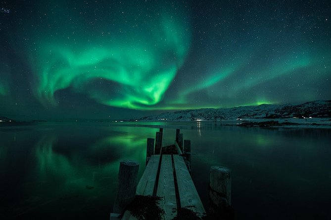 Tromsø: Aurora Hunt with Citizen Science with Wandering Owl - Tromsø: Aurora Hunt with Citizen Science with Wandering Owl — A Complete Review