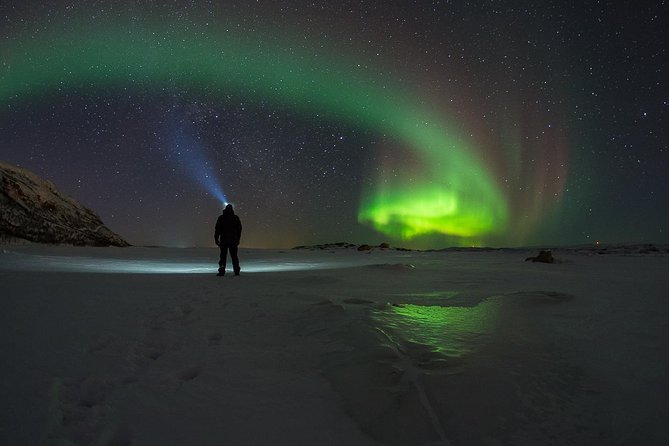 Tromsø: Northern Lights Chase Minibus Tour - An In-Depth Look at the Tromsø Northern Lights Chase Tour