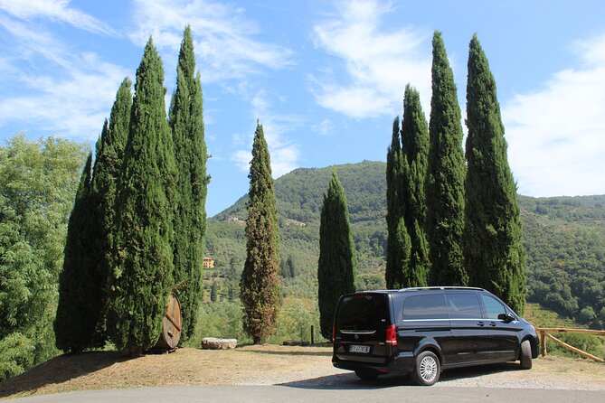 Tuscan Wine Tour in Lucca by van - An Authentic Tuscan Experience in Lucca: The Wine Tour by Van