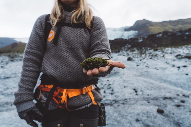Vatnajökull Guided Beginner Glacier Walk with 4x4 Transfer - Key Points