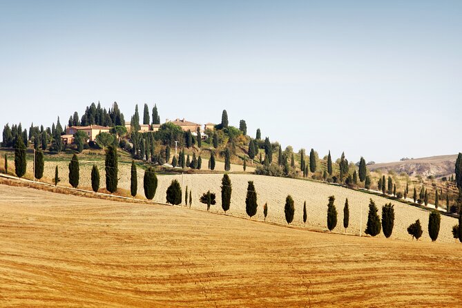 Vespa Tour with Lunch&Chianti Winery from Siena - Riding Tuscany on a Vespa: A Trusty Guide to the Siena Vespa Tour with Lunch & Chianti Winery