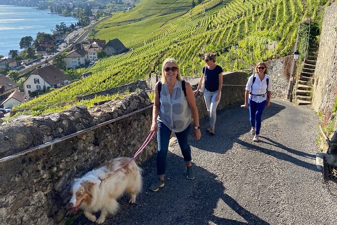 Vine Stories: Lavaux & Lutry wine walk - Exploring the Vine Stories: Lavaux & Lutry Wine Walk — A Detailed Review