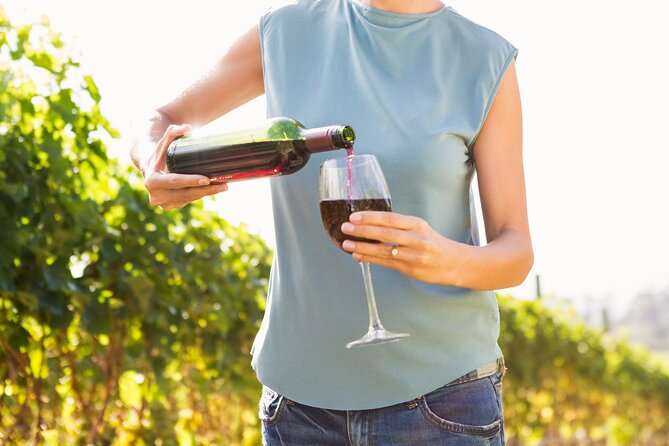Vino Venture: Explore With A Local - Troodos Mountains thru Wine! - Key Points