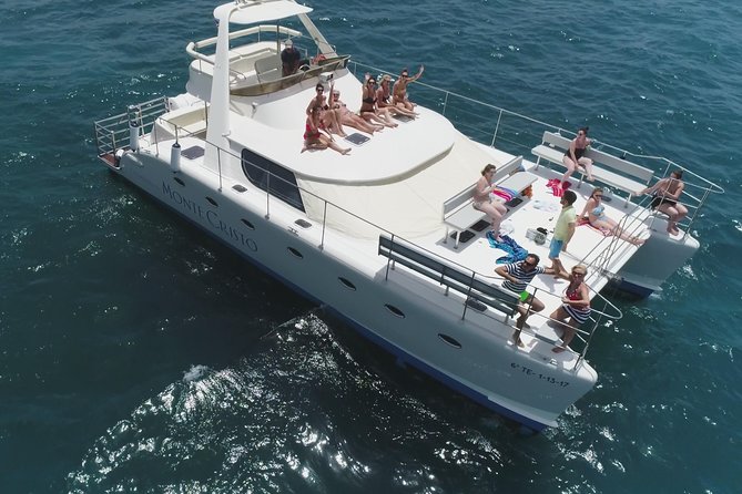 Whale and Dolphin Watching Catamaran with Transfer and Buffet - Key Points