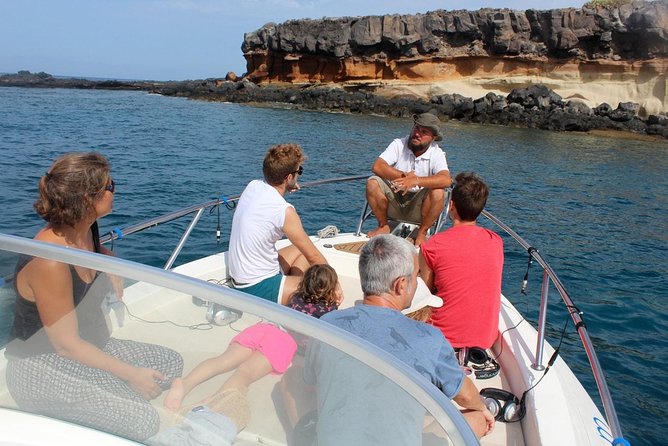 Whale watching in Tenerife. Atlantic Eco Experience - Key Points