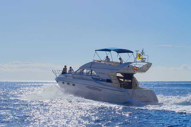 Whales and Dolphins excursion on a Luxury Yacht in Canary Islands - Introduction