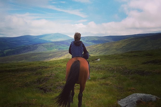 Wicklow Mountains Horse Trekking - An Authentic Irish Horseback Experience in Wicklow