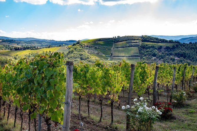 Wine Safaris: Off Road Tuscany Wine Tours and Lunch from Florence - Key Points