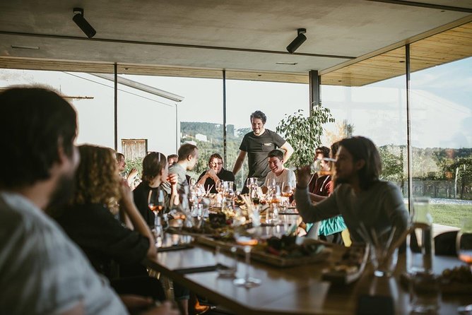 Wine Tasting with Pairing Snacks in Vipava Valley - Key Points