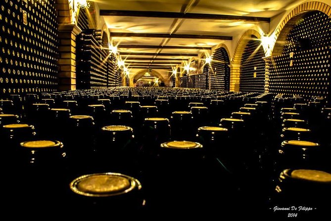 Wine tour and Tasting in Nocciano - An Authentic Abruzzo Wine Experience