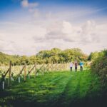1.5-Hour Swanaford Vineyard Tour And Tasting Experience - The Itinerary in Detail
