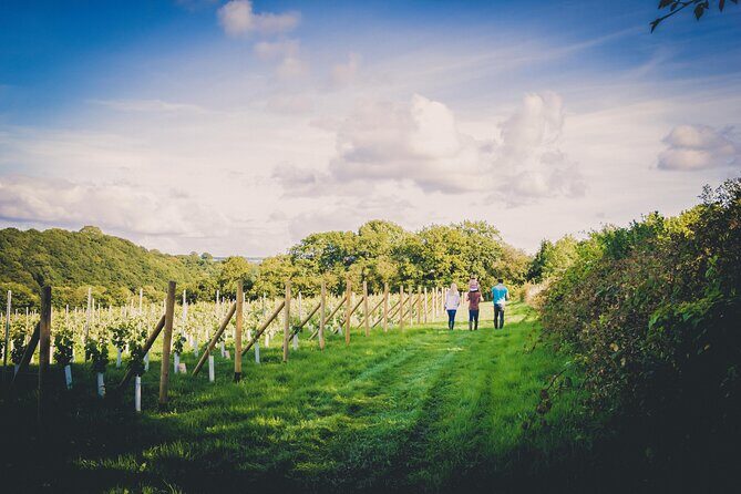 1.5-Hour Swanaford Vineyard Tour And Tasting Experience - The Itinerary in Detail