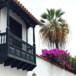 1.5-hour walking tour of Puerto de la Cruz, Tenerife. - Exploring Puerto de la Cruz: A lively coastal town