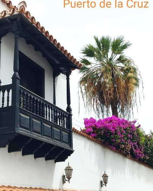 1.5-hour walking tour of Puerto de la Cruz, Tenerife. - Exploring Puerto de la Cruz: A lively coastal town