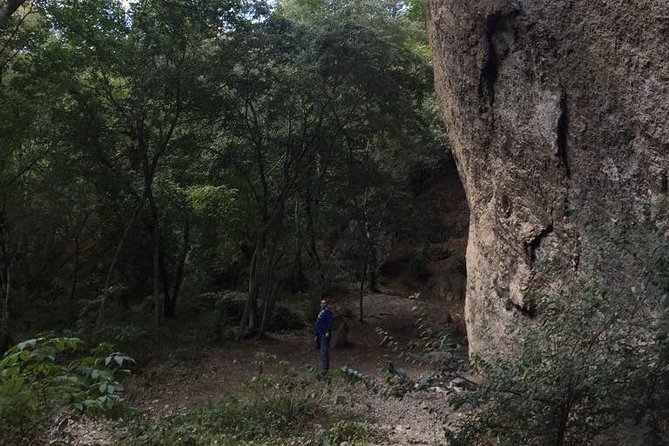 1 day hiking in Birtvisi Canyon from Tbilisi - Key Points