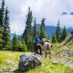 1 Day Horse Riding Adventure in Borjomi Mountains - An In-Depth Look at the Tour Experience