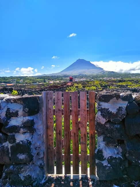 1-day jeep tour on the island of Pico - Azores - The Itinerary Breakdown: What to Expect