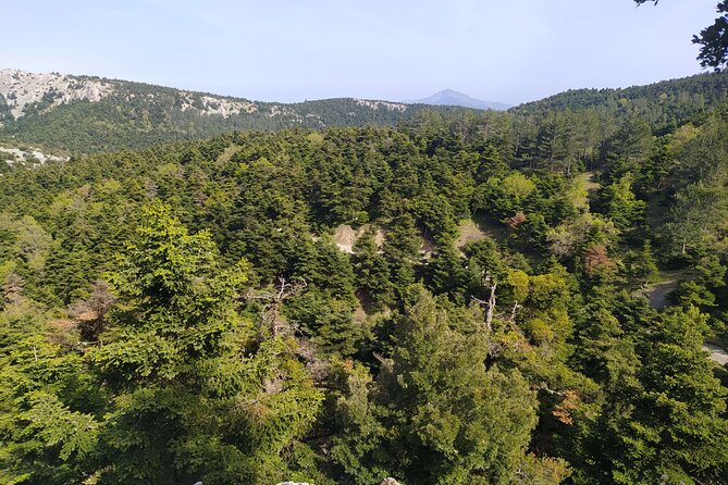 1 Day Parnitha Athens Private Hiking Tour with Hotel Pickup - An Overview of the Parnitha Hiking Experience