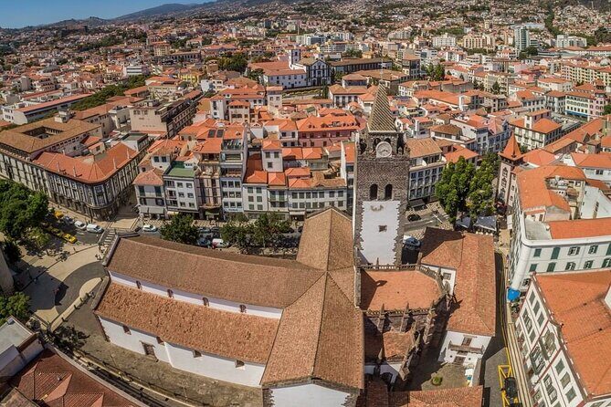1 Day Self-Guided Scooter Tour in Madeira Olin Rentals - What Travelers Say: Authentic Feedback