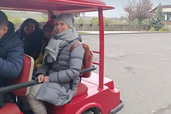 1 DAY:Chisinau Sightseeing Tour &Cricova Cellar wine Tasting - Chisinau: Enjoying the Capital’s Charm